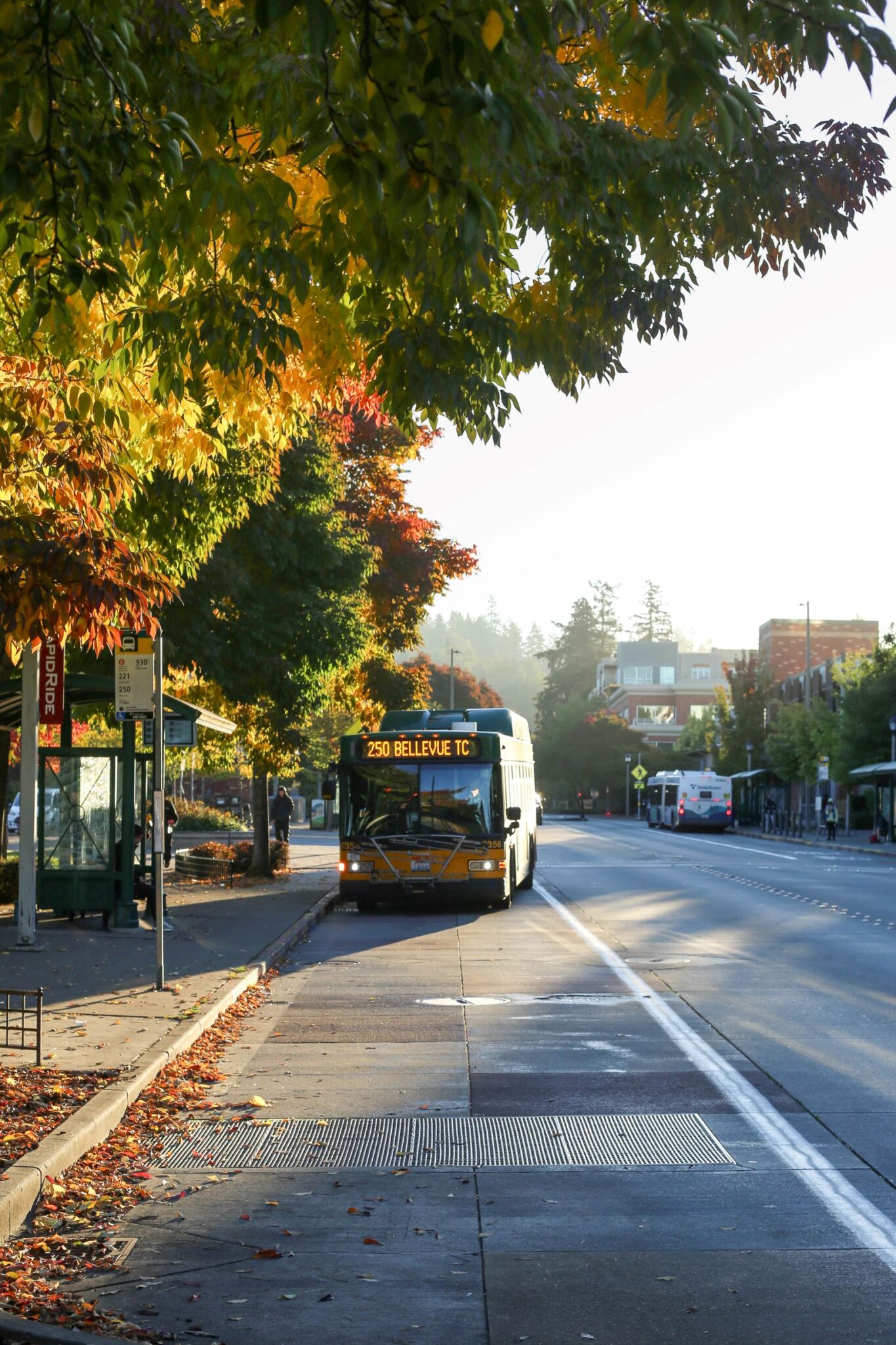 Getting Around Redmond - Go Redmond